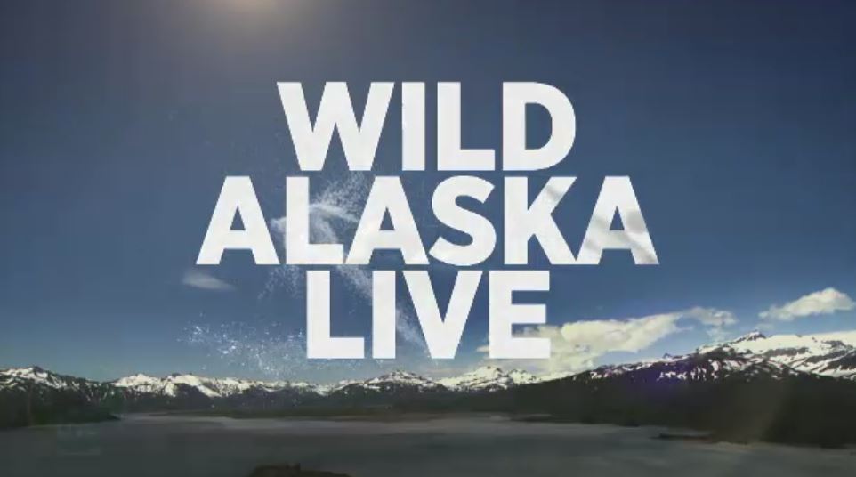 Episode 2 | Wild Alaska Live - Educational Recording Agency