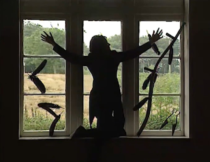 The Nations Favourite Poems | Frances Tomelty: To A Blackbird - BBC ...